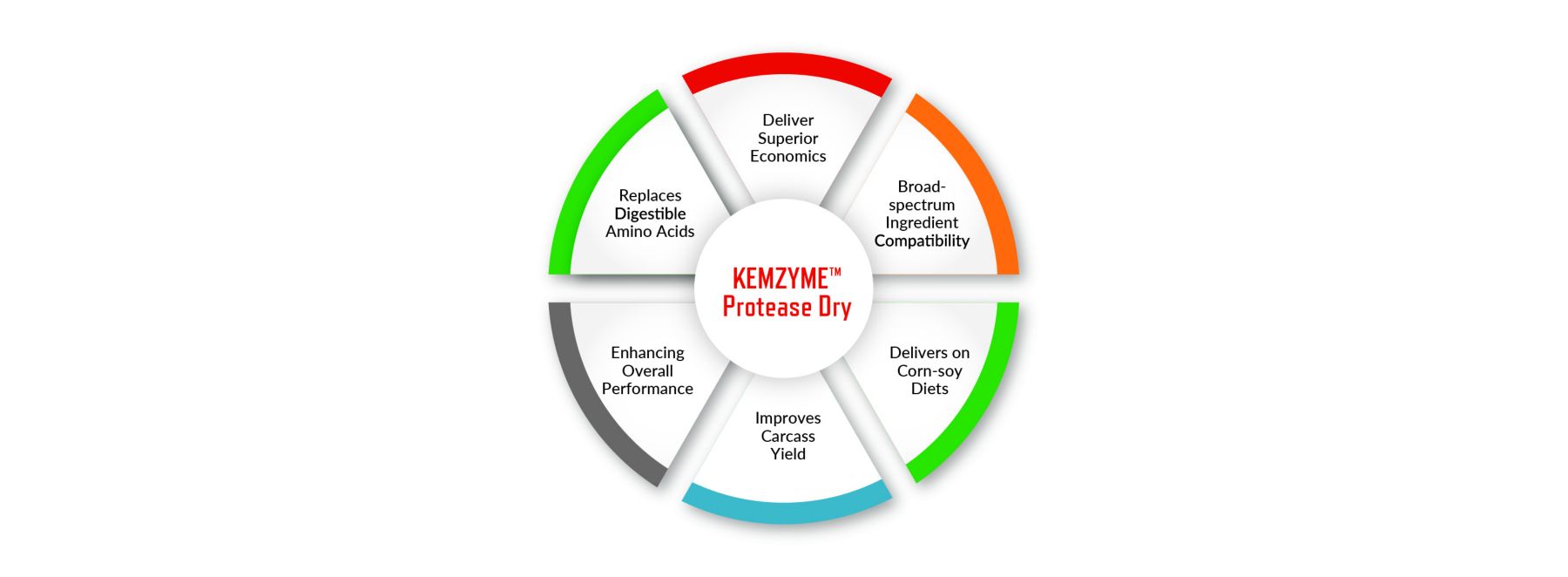 KEMZYME™ Protease For Digestibility | Kemin Asia Pacific